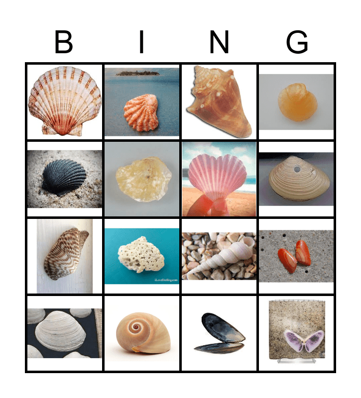 Seashell Bingo Card