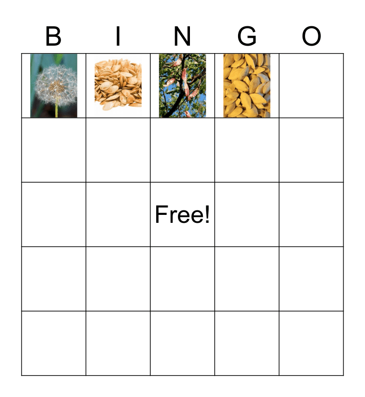 Seed Bingo Card