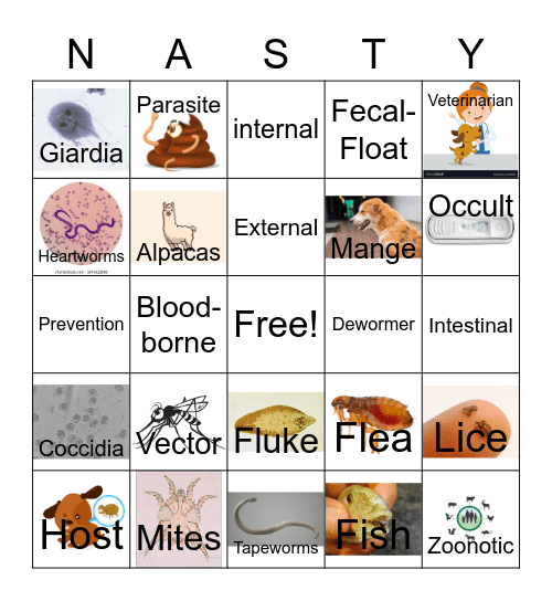 Parasite Bingo Card