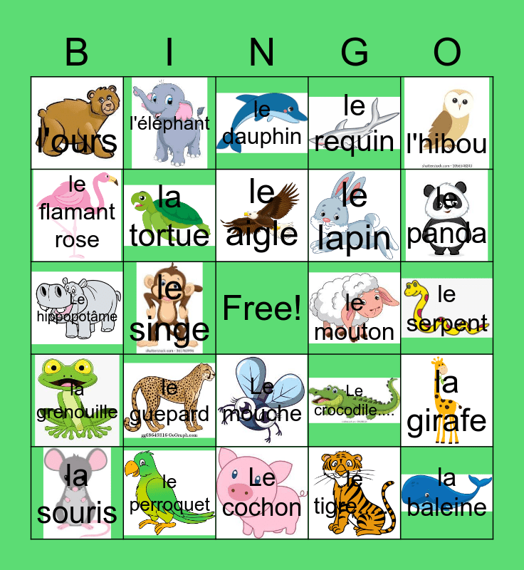les animaux Bingo Card