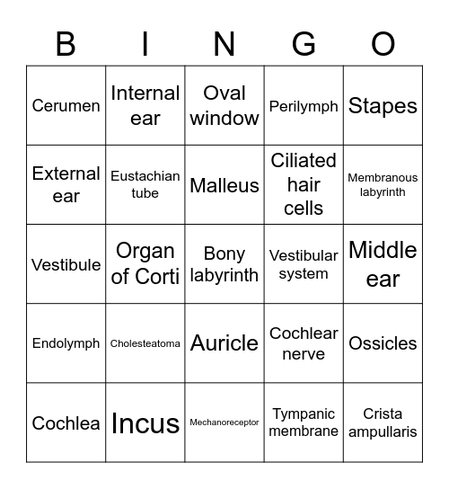Hearing Anatomy Bingo Card