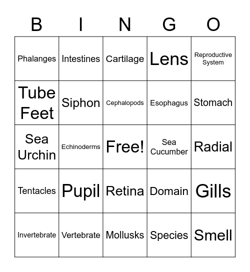 Zoology Bingo Card