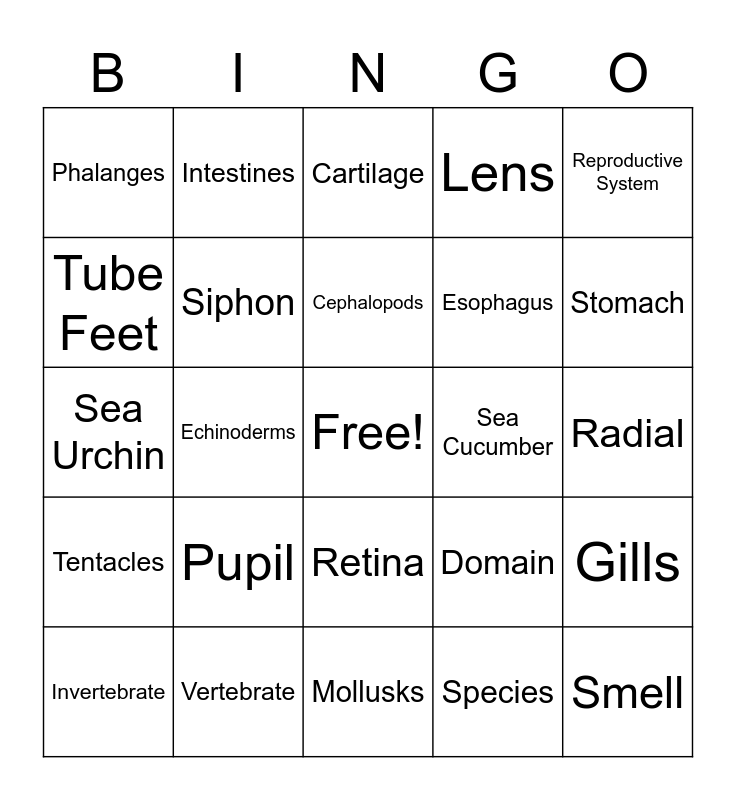 Zoology Bingo Card