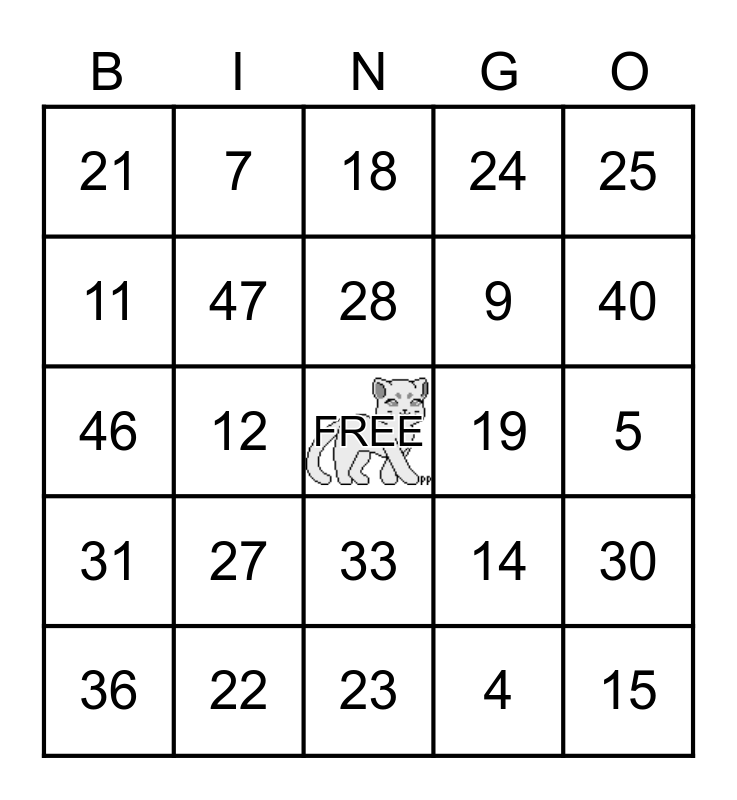 Cloudy Leopards Bingo Card