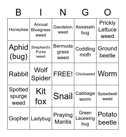 Pest Bingo Card