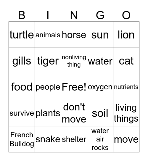 Living Things Bingo Card
