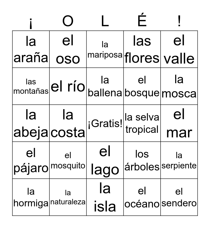 Lago Spanish 3 Unit 1 Lists 1 - 4 Bingo Card