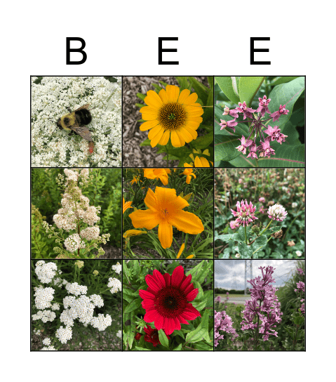 Native Flower Bingo Card