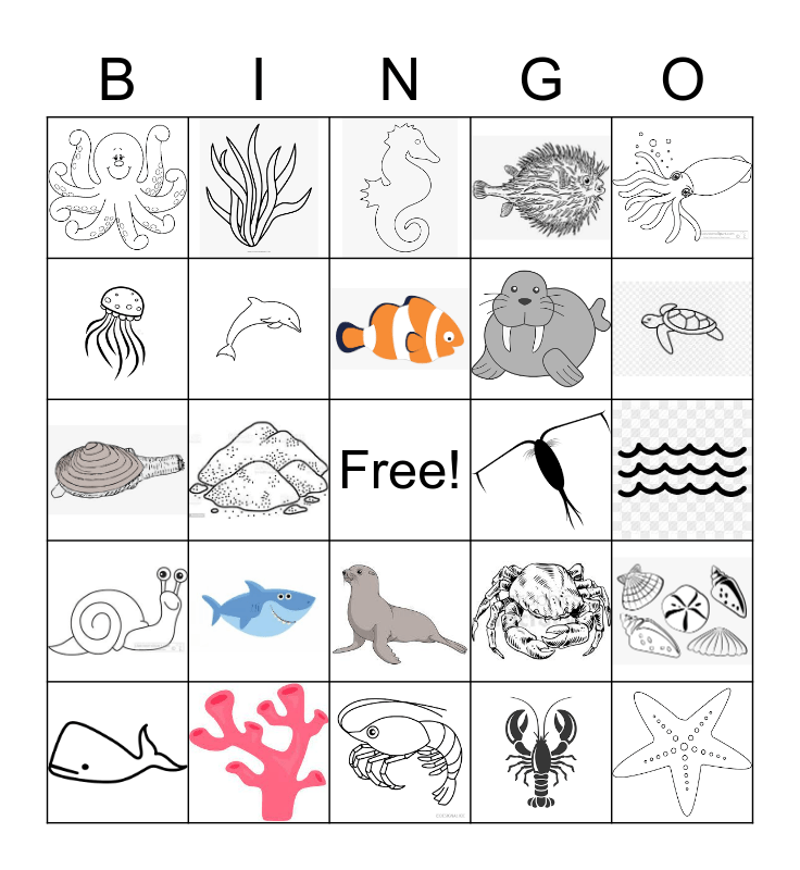 Oceans Bingo Card