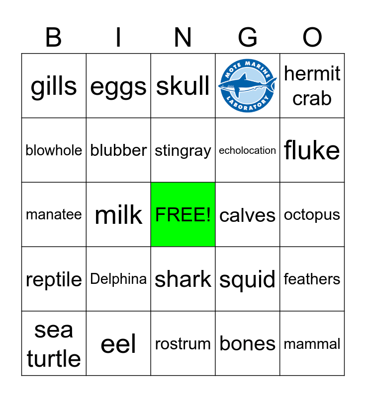 SEA Me Read: If a Dolphin Bingo Card