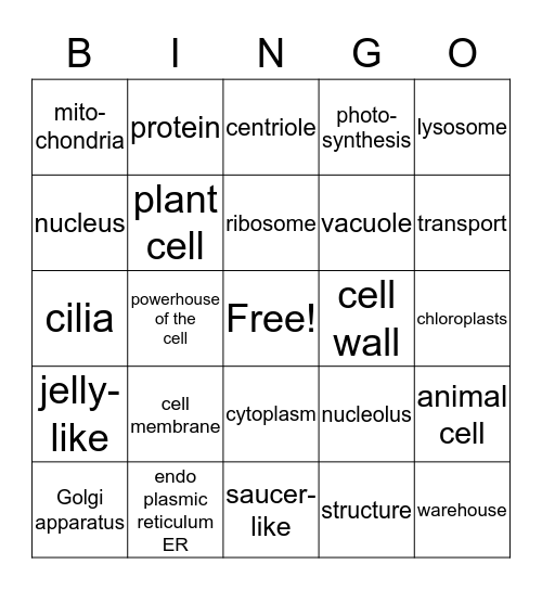 PLANT AND ANIMAL CELLS BINGO Card