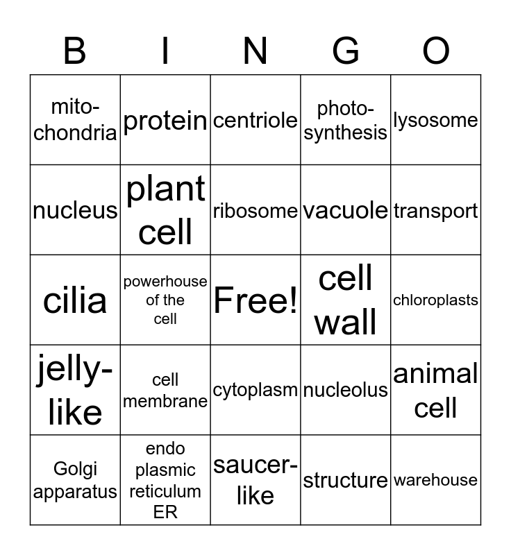PLANT AND ANIMAL CELLS BINGO Card
