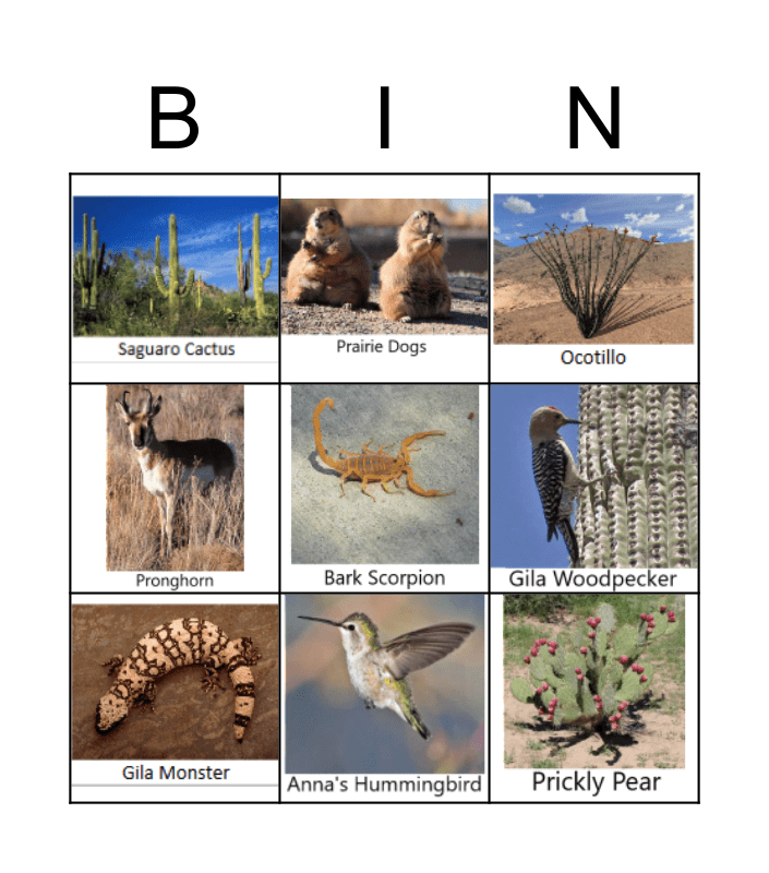DESERT BINGO Card