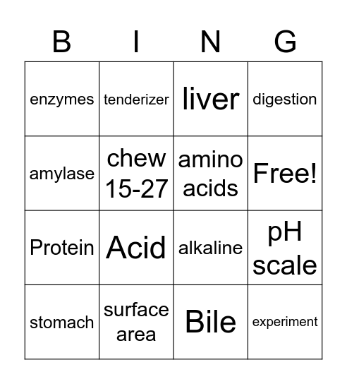 Digestive system Bingo Card