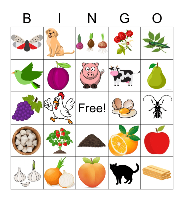 FPA Bingo Card