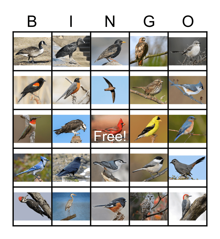 FBC RVA Bird Bingo Card