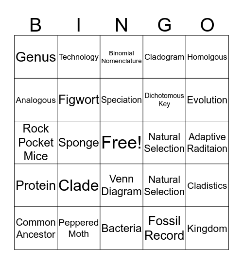 Topic 5 Evolution Bingo Card