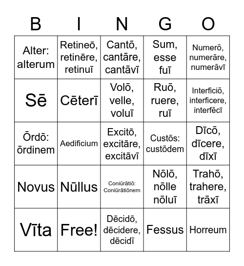 Stage 13 Bingo Card