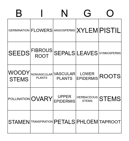 PLANTS Bingo Card