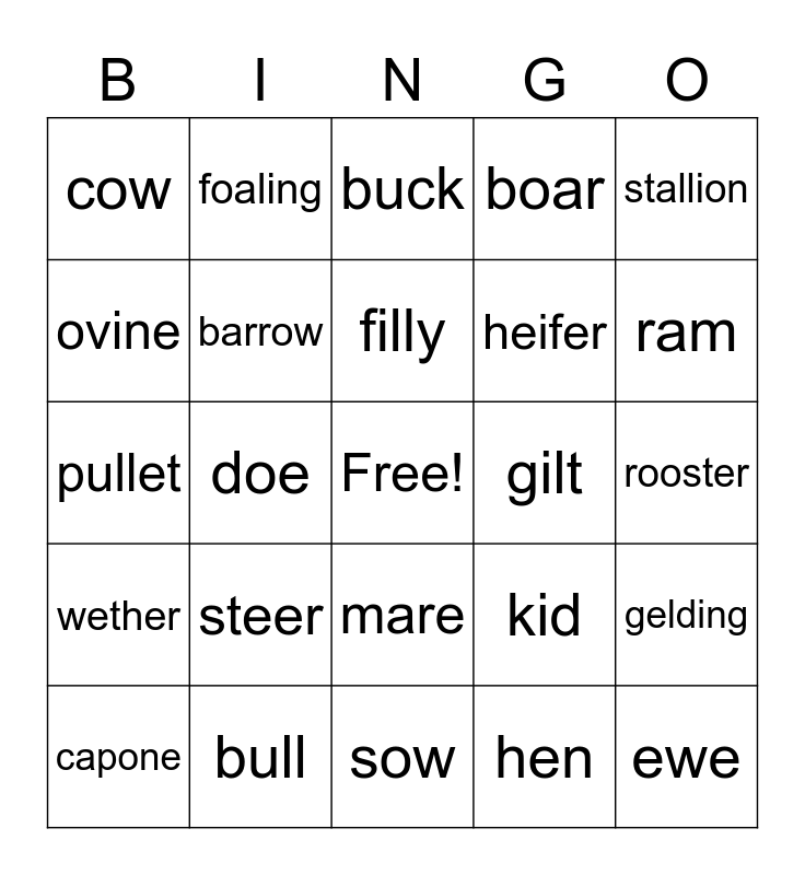 livestock classification Bingo Card