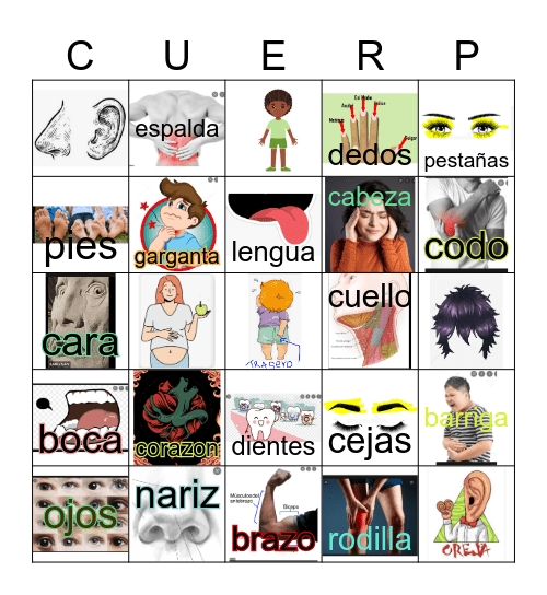Partes del cuerpo Bingo Card