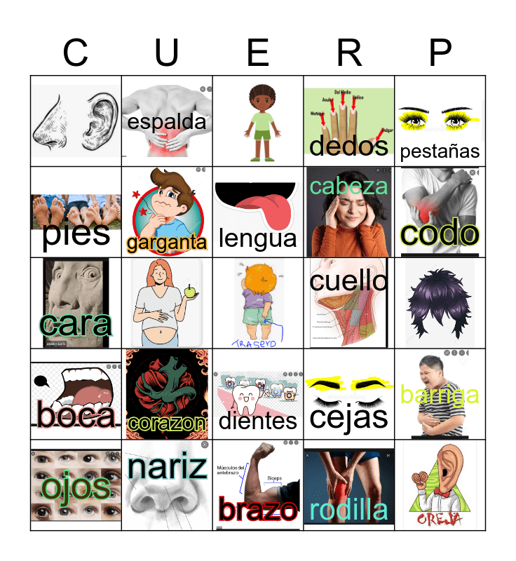 Partes del cuerpo Bingo Card