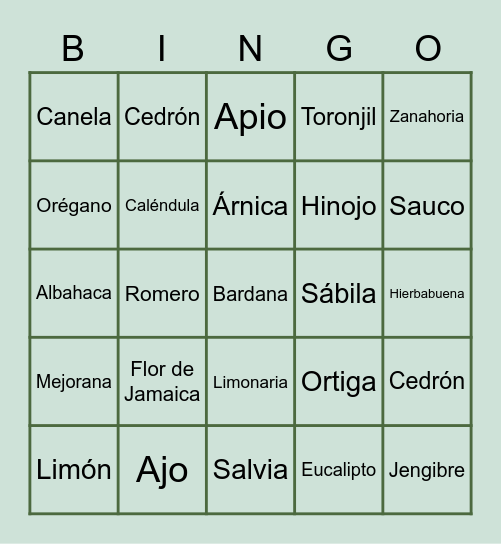 Plantas Medicinales Bingo Card