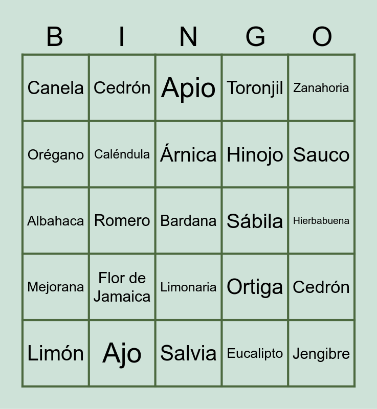 Plantas Medicinales Bingo Card