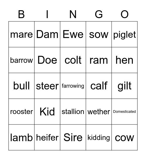 Livestock Terminology Bingo Card
