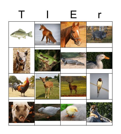 Tiere Bingo Card
