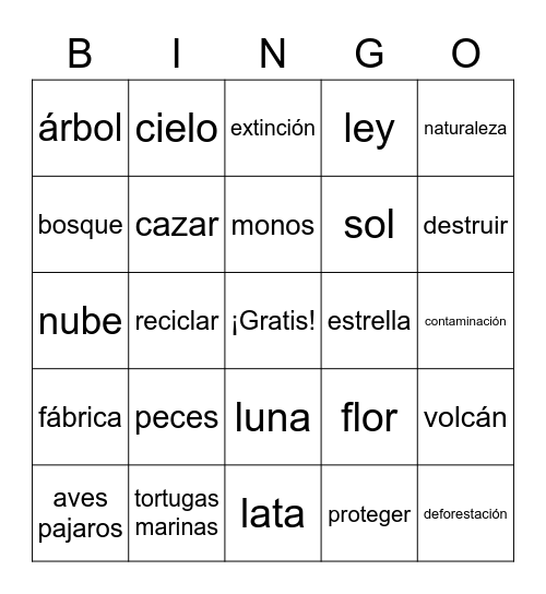 Medio Ambiente Bingo Card