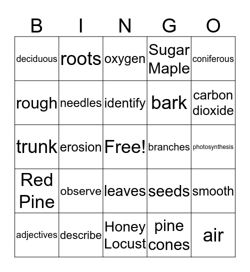 Science of Trees Bingo Card