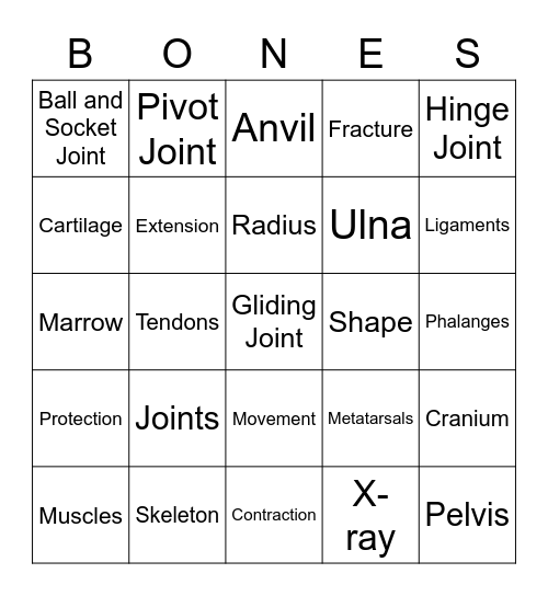 Human Body Review Bingo Card Human Body Review Bingo Card