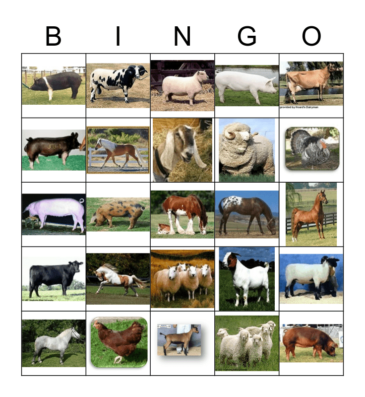 Livestock Bingo Card