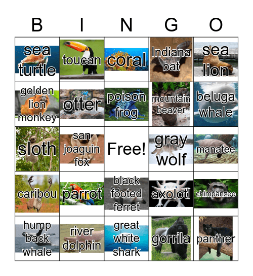 Endangered Animals Bingo Card