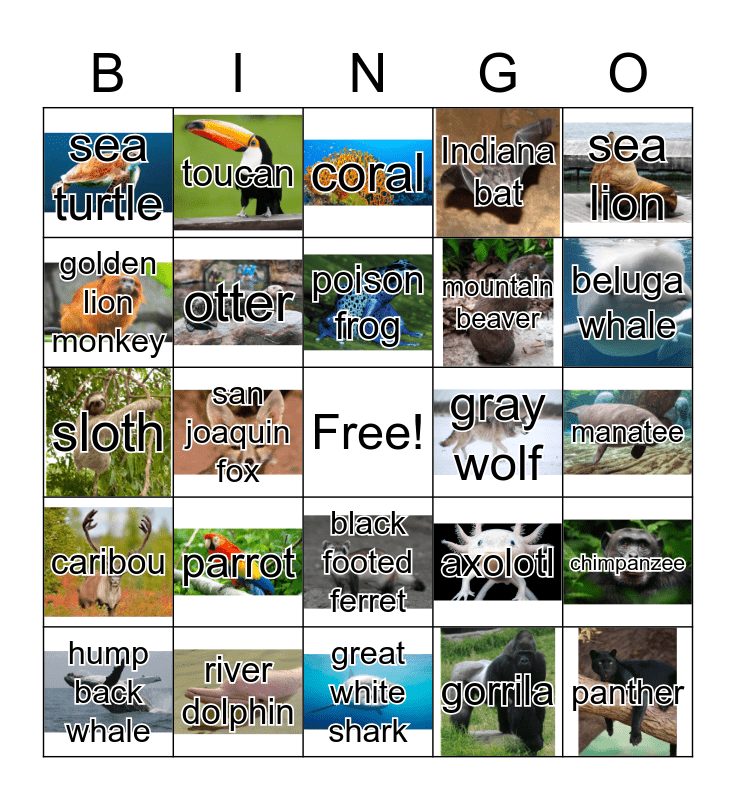 Endangered Animals Bingo Card