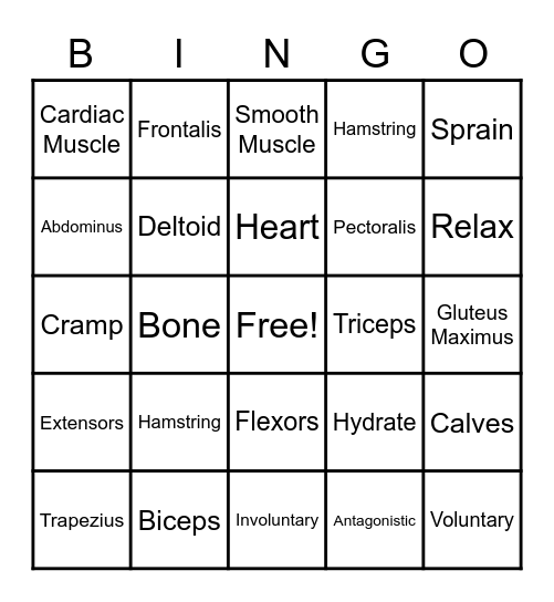 Muscular System Bingo Card