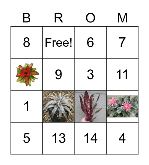 Brom Bingo Card