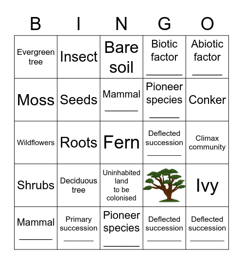 Succession Bingo Card