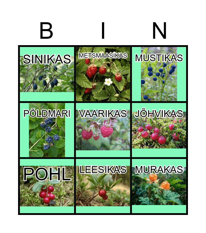 METSAMARJAD Bingo Card