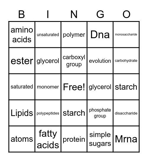 Bio Bingo Card