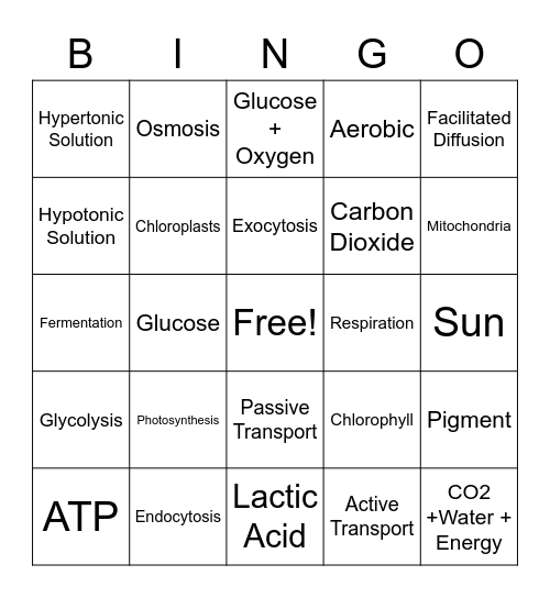 Cell Energy / Cell Transport BINGO Card