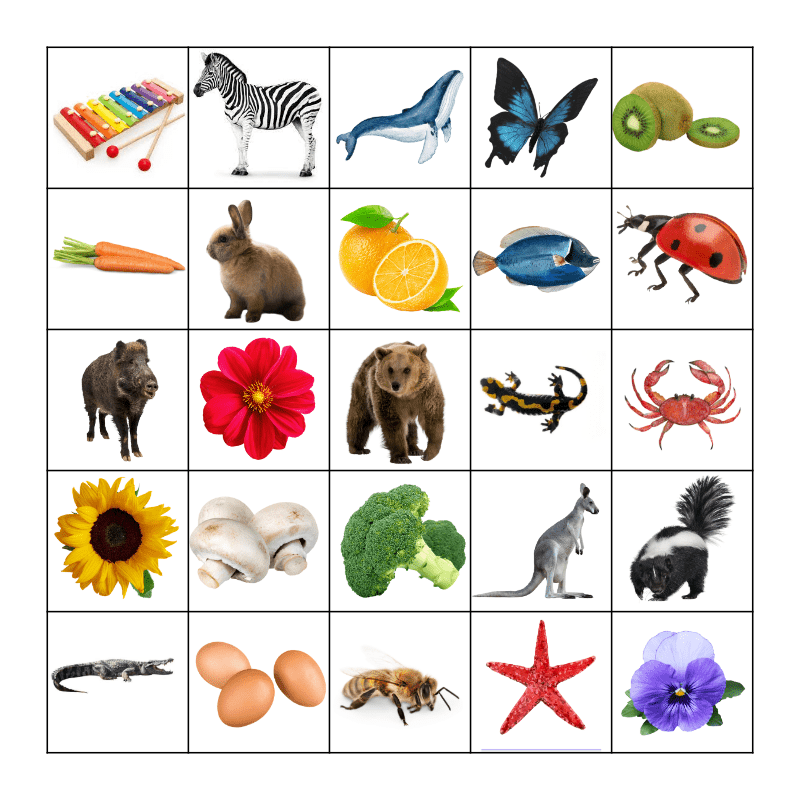 November I Spy Bingo Card