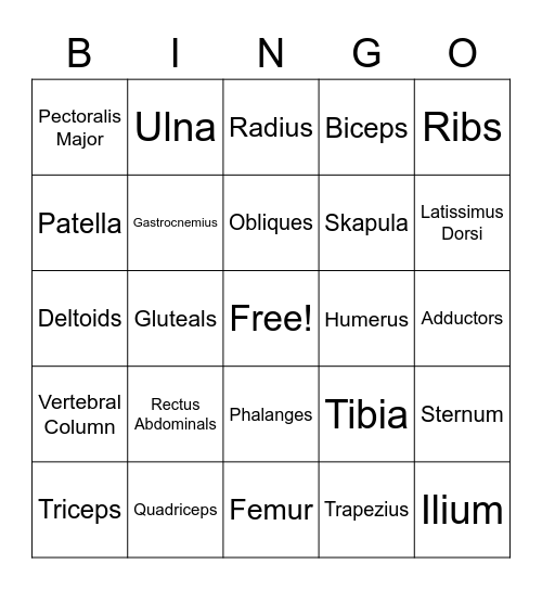 Anatomy Bingo Card