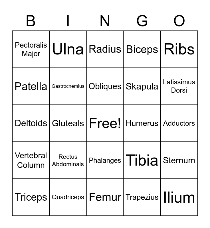 Anatomy Bingo Card