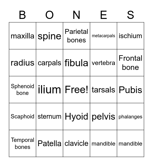 Human Bones Bingo Card
