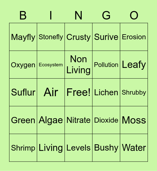 Pollution Bingo Card