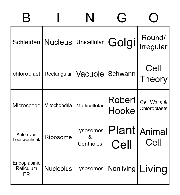 Unit 1 Vocabulary Review Bingo Card