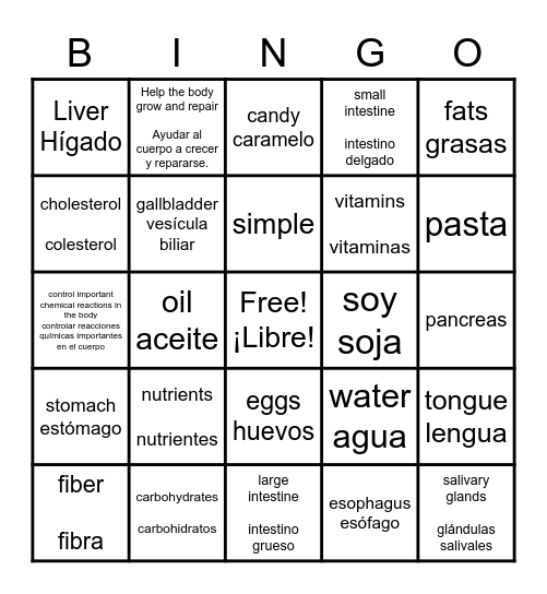 Nutrition/Digestive System Review Bingo Card