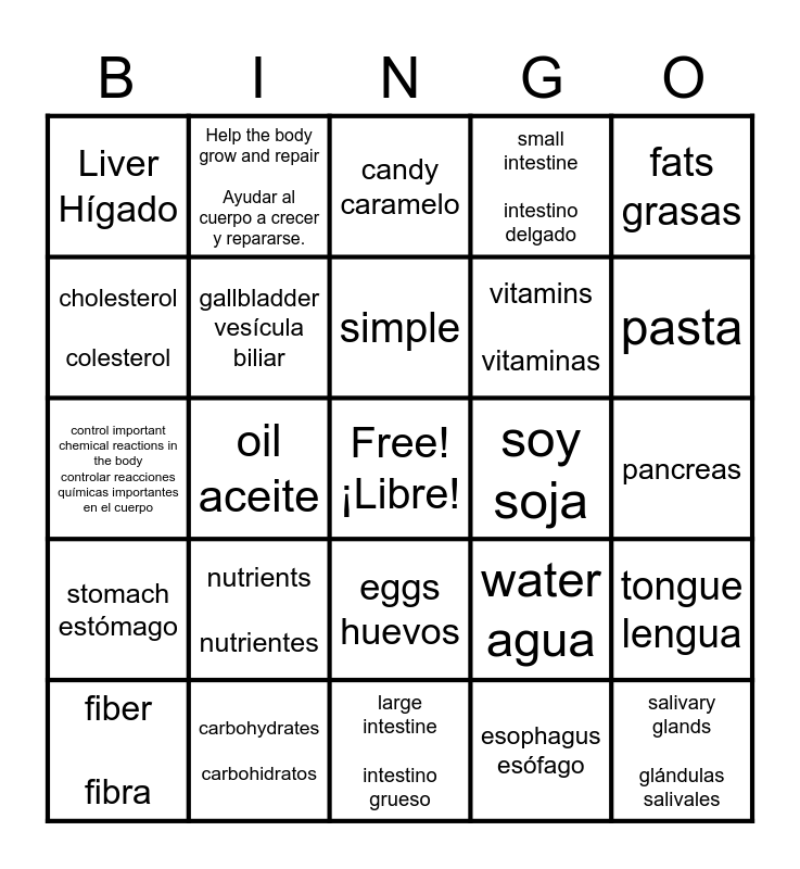 Nutrition/Digestive System Review Bingo Card